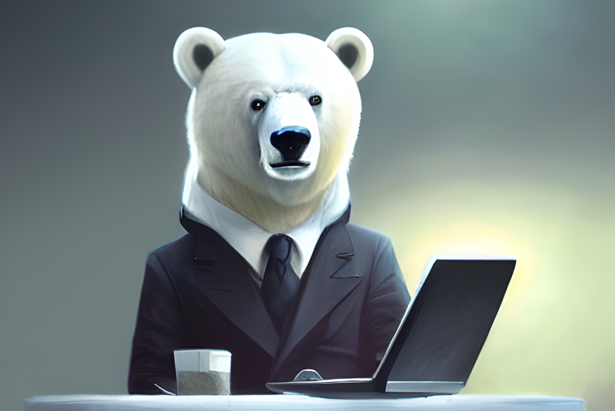 Velkommen til Arctic Software